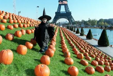 La Toussaint et Halloween en France ハロウィーン - BLSスクール